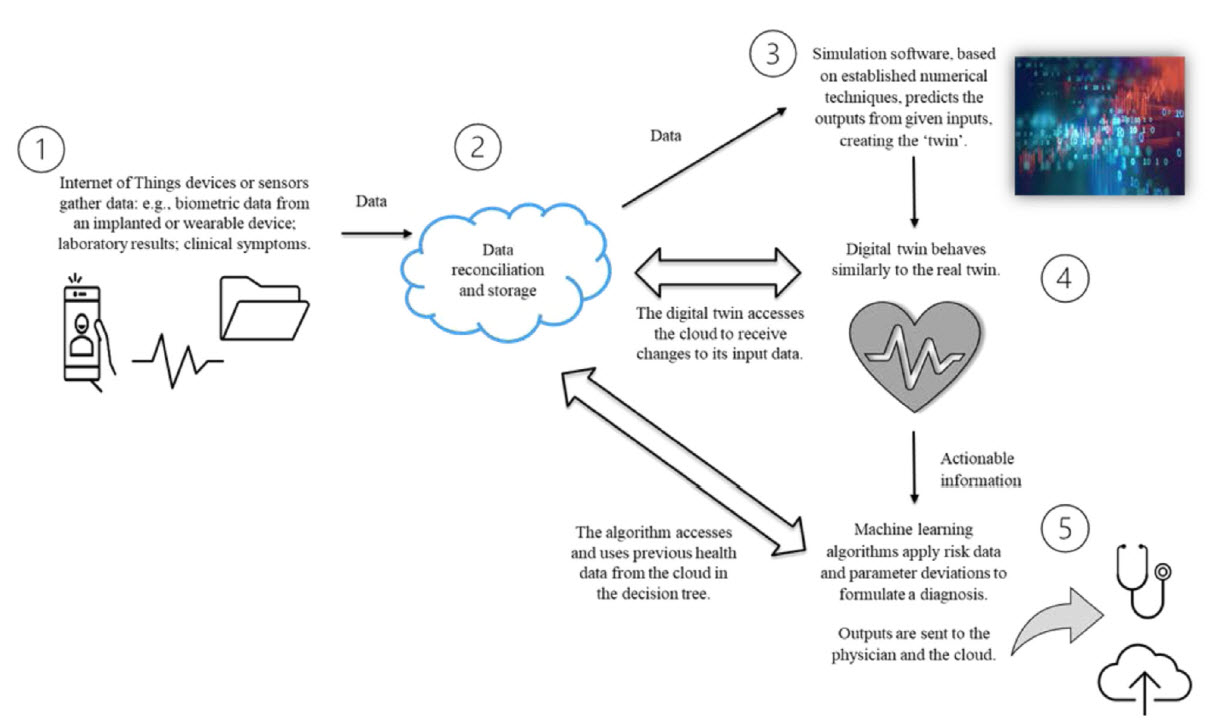 Publications - Polymeric heart valve replacements