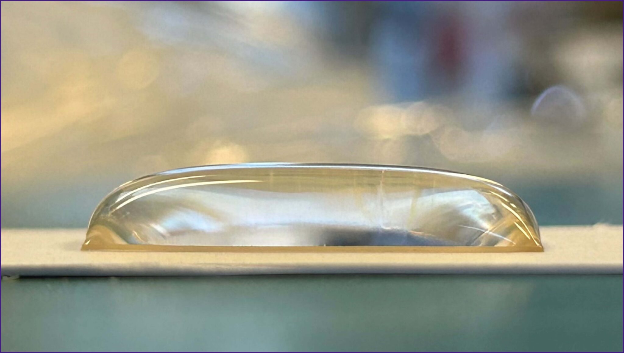 Publications - Polymeric heart valve replacements